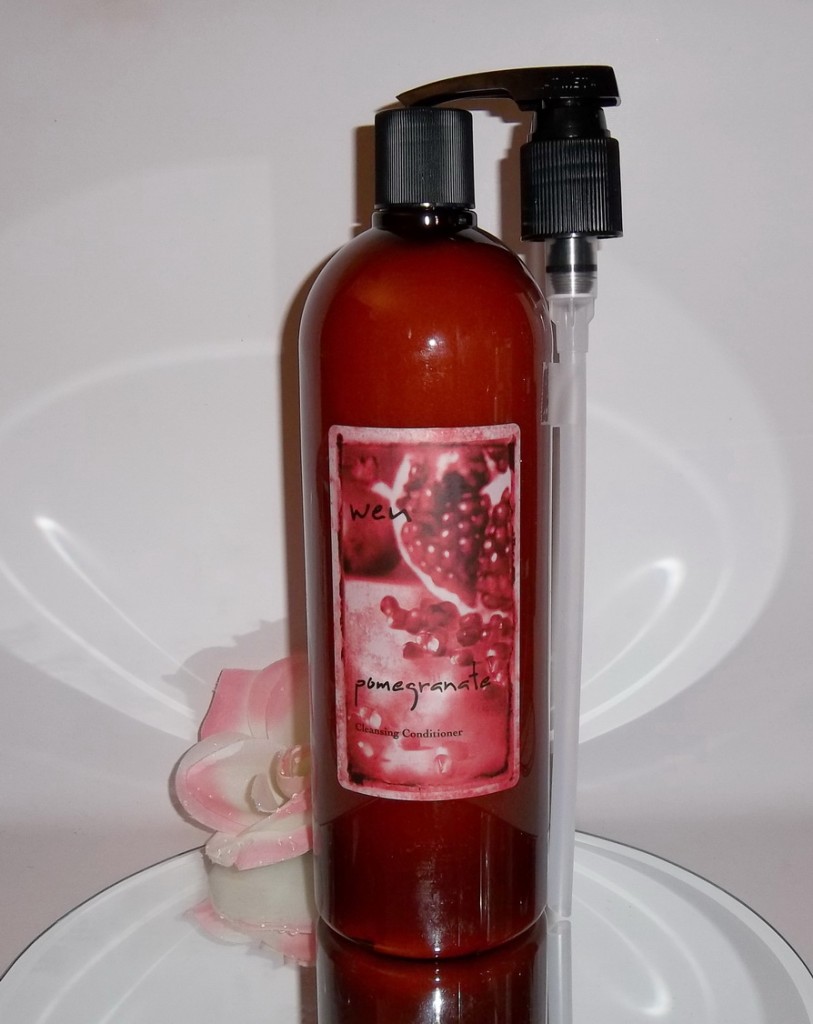 Wen Cleansing Conditioner Shampoo HUGE 32oz 64oz CHOOSE SCENT Chaz Dean ... Wen Cleansing Conditioner Shampoo HUGE 32oz 64oz CHOOSE SCENT Chaz Dean ...