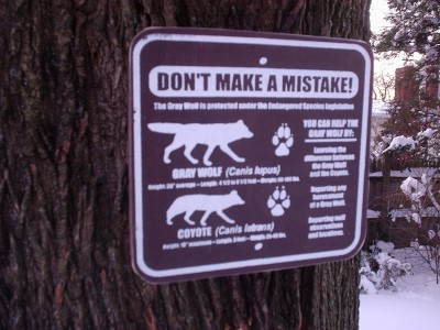 Gray Wolf Sign Coyote Warning Sign Trail Marker Sign | eBay