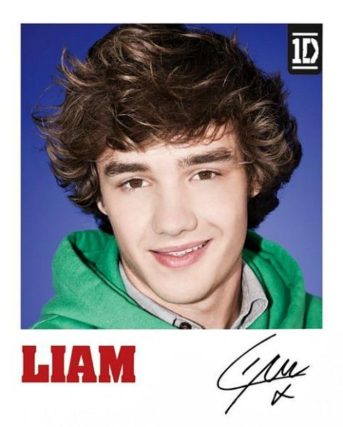 One direction : liam by Mini Poster (40cm X 50cm), Poster / Display ...
