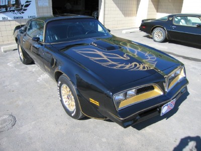77-78 Pontiac Trans Am SE Gold Bird Ultimate Decal Kit | eBay