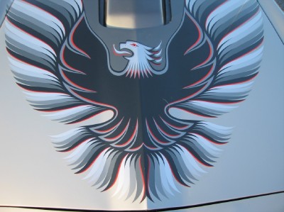 1979 Pontiac Trans Am 10th Anniversary Silver Decals Ultimate Kit 79 | eBay