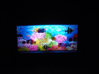 NEW FUNKY INSTANT AQUARIUM MOVING LIGHT UP MOTION FISH | eBay