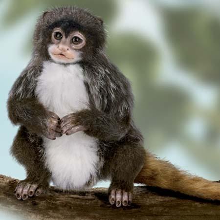 Ashton Drake - LITTLE LULU AMAZING AMAZON FINGER MONKEY | eBay