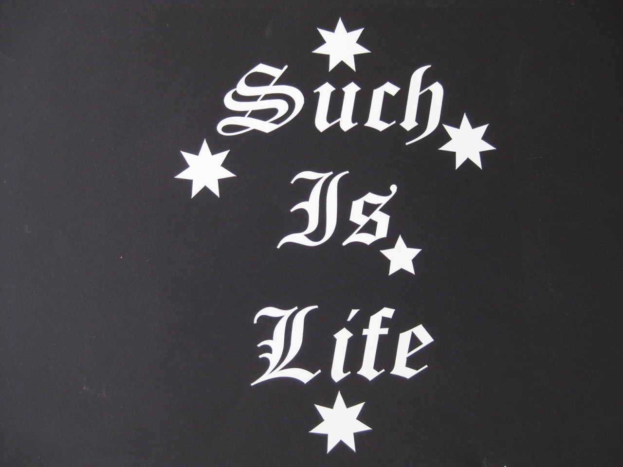 Southern Cross Such Is Life Sticker Decal White New | eBay