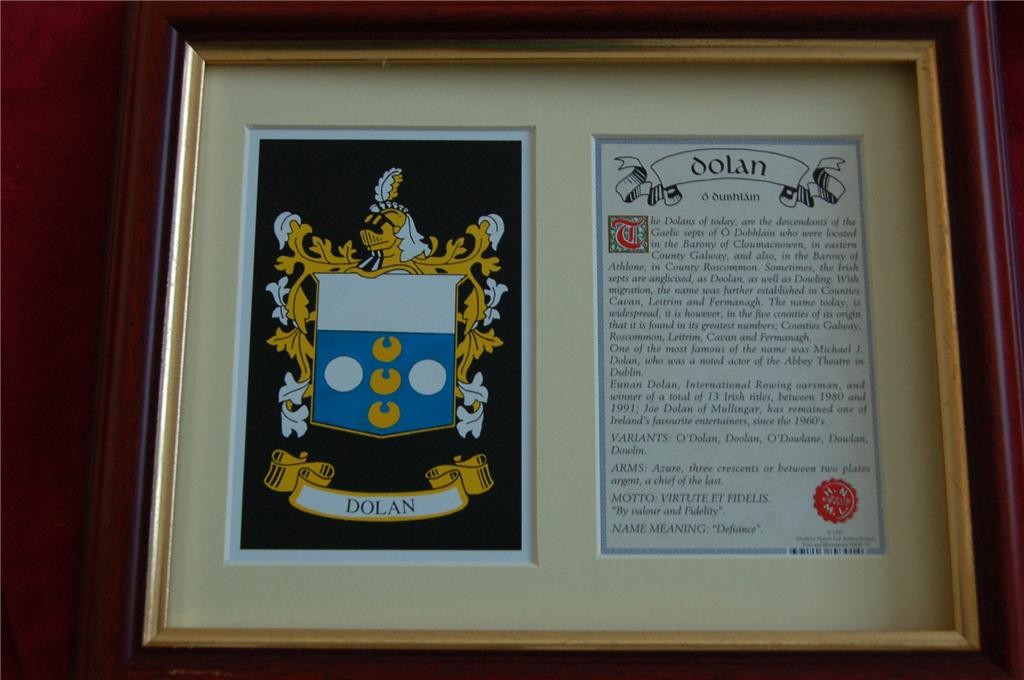 DOLAN Family Coat of Arms Crest + History - Available Mounted or Framed ...