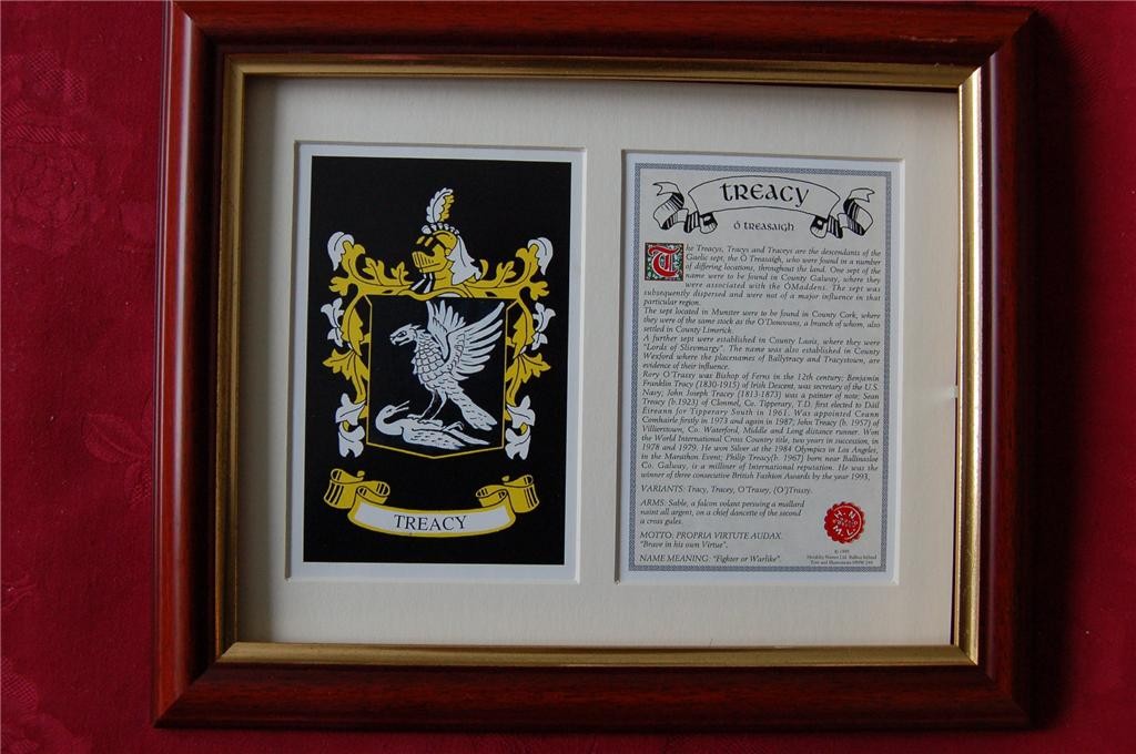 TREACY Family Coat of Arms Crest + History - Available Mounted or ...