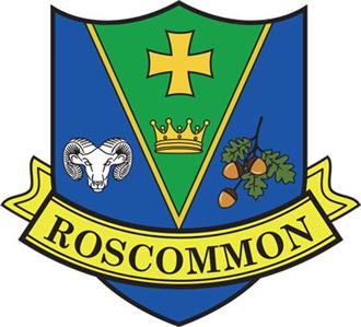 County ROSCOMMON Irish Crest Shield Decal Car Sticker - Ireland ...