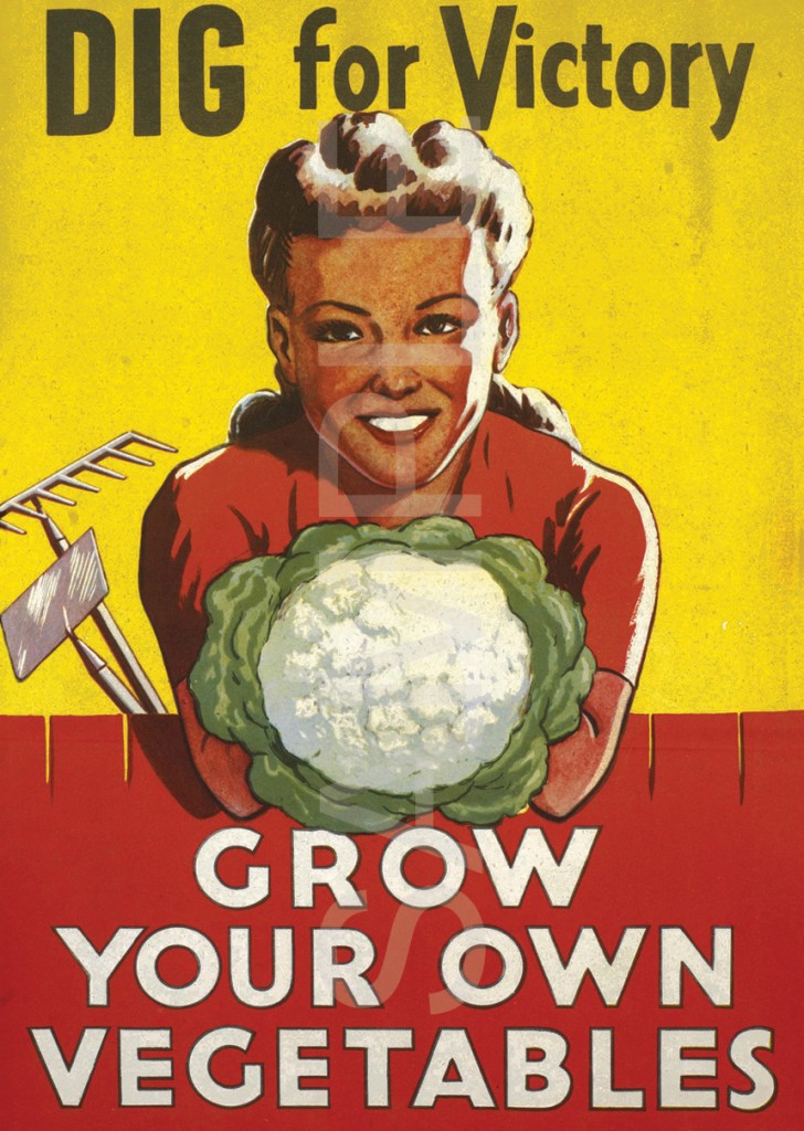 DIG FOR VICTORY WAR TIME POSTER A3 POSTER PRINT AMK1436 | eBay