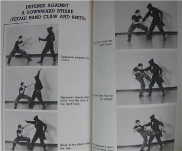 ninjutsu techniques for beginners
