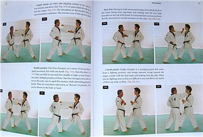 taekwondo basic techniques