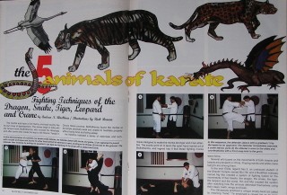 chuck norris leopard