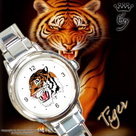 Uniquely Designed Italian Charm Watch For Ladies