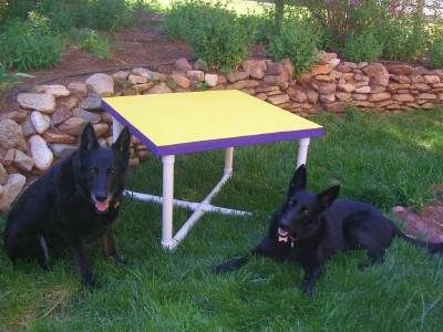 Dog Agility Equipment Pause Table includes both base & top