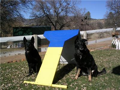 Dog Agility Equipment Mini Contact Trainer (Dog walk - A Frame/AFrame ...