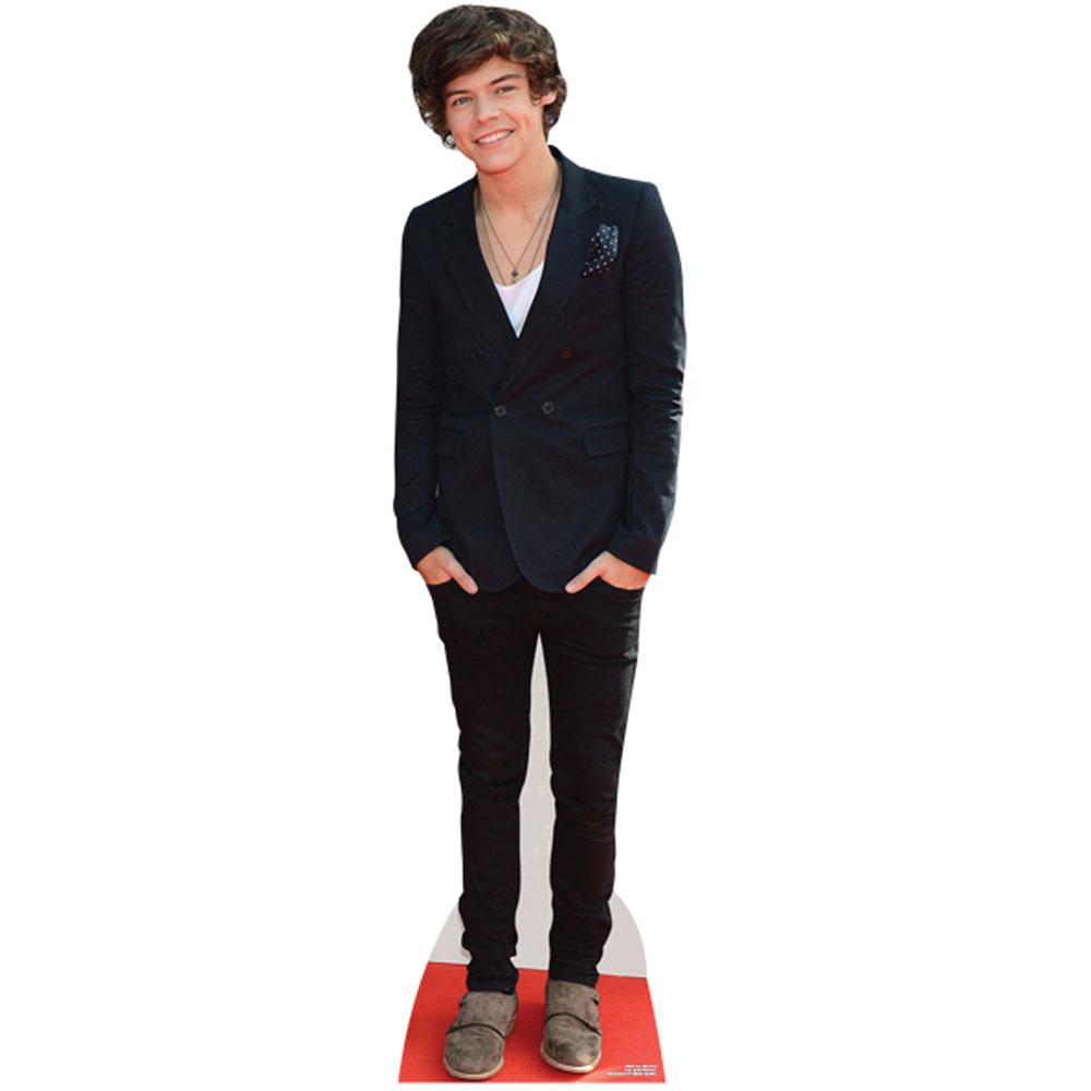 ONE DIRECTION LIFESIZE CARDBOARD CUT-OUT STANDEE - NEW - 1D | eBay