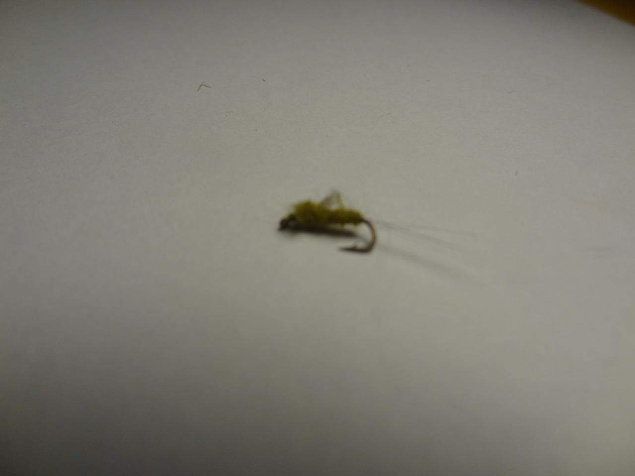 1 DOZ PW-2 RS2 EMERGER (SELECT YOUR SIZE & COLOR) NYMPH | eBay