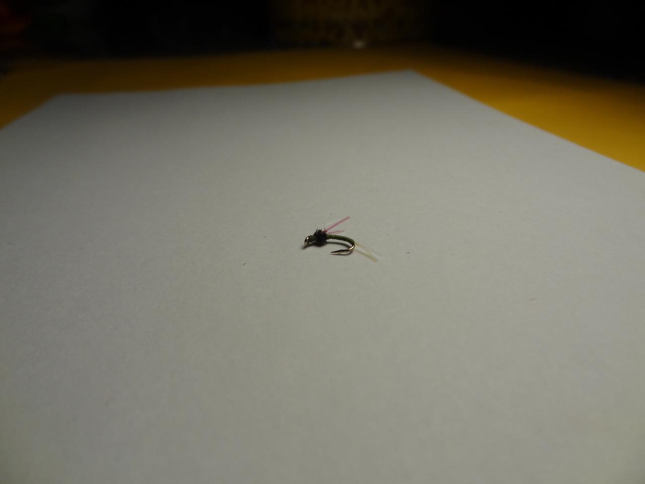 1 DOZ PW-2 WD-40 (SELECT YOUR SIZE & COLOR) Nymph | eBay