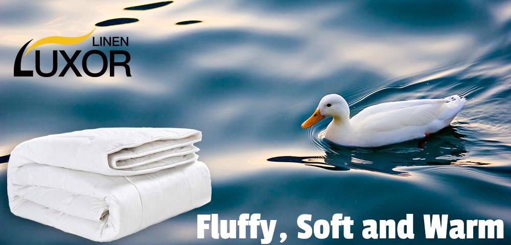 single duck down quilt