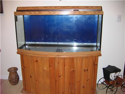 72 Gallon Bow Front Aquarium Fish Tank With Light Hood and Stand Oak | eBay