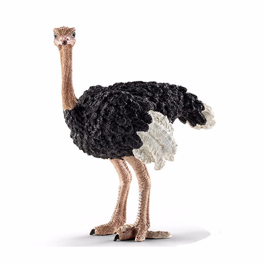 SCHLEICH World of Nature BIRDS - Choose for 23 different figures all ...