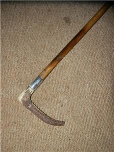 Antique Hallmarked Silver 1903 "PIZZLE" BULLS PENIS Hunt Whip (JONATHAN ...