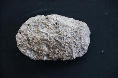 large prehistoric stone