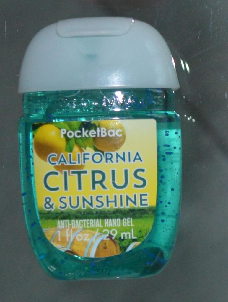 Bath and Body Works Pocket Bac Anti-bacterial Hand Gel - FANTASTIC ...
