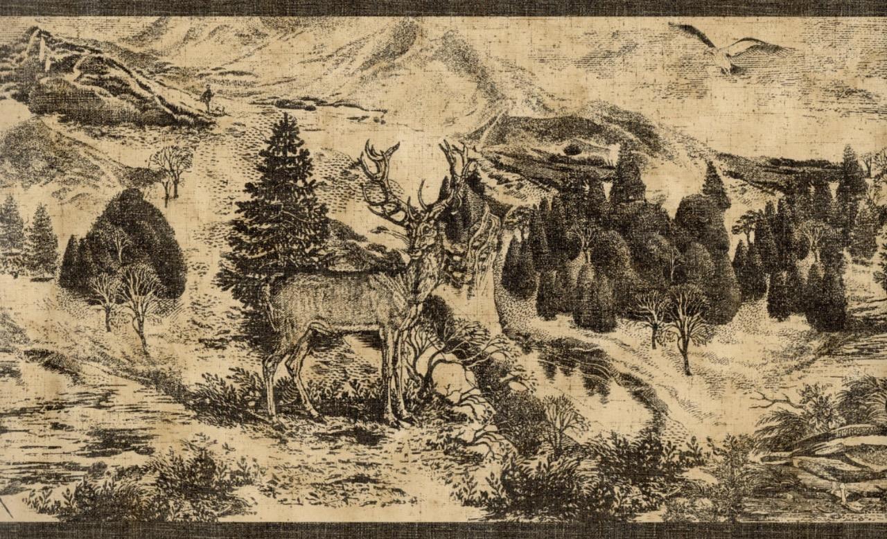 stag wallpaper border