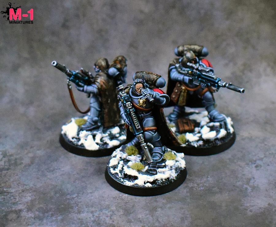 Warhammer 40k Space Wolves Primaris Eliminators M1 painted | eBay