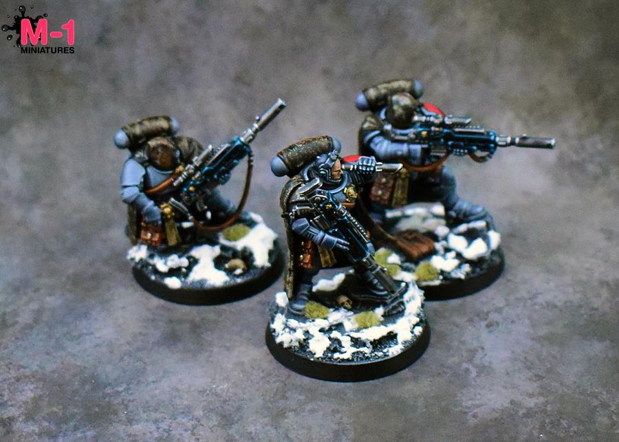 Warhammer 40k Space Wolves Primaris Eliminators M1 painted | eBay