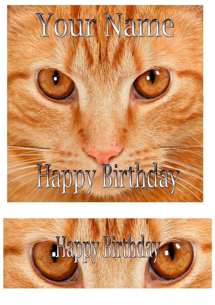 GINGER CAT BIRTHDAY Edible Cake Topper Square Rice Paper Or Icing Personal 100 4 99 PicClick UK ginger-cat-birthday-edible-cake-topper-square-rice-paper-or-icing-personal-100-4-99-picclick-uk