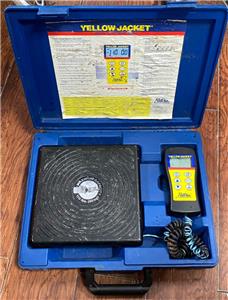 yellow jacket scales