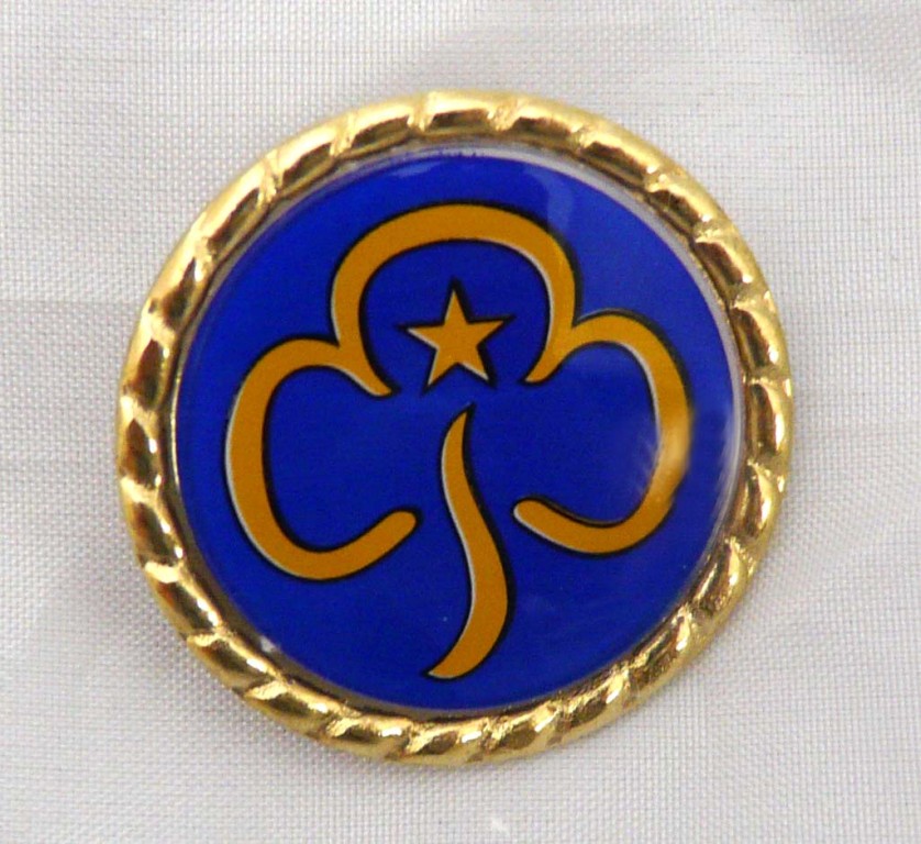 Vintage Metal Girl Guide Badges at Evelyn Council blog