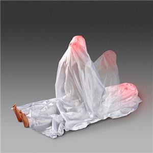 Sound Activated ANIMATED RISING DEAD BODY Halloween Haunted Prop ...