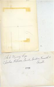 murray hamilton grave