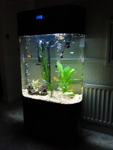 Column Aquarium Acrylic Fish Tank Oval Shaped 230L New | eBay