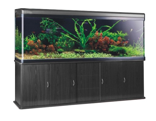 Cabinet Aquarium Fish Tank Tropical 180cm 6ft 500L New
