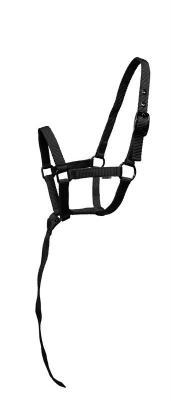 Foal W/ 12" Catch Nylon Halter Mini Halter Lot of 10 Or 1. Bright ...