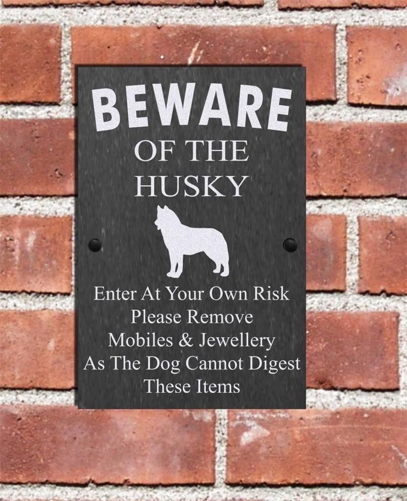 Humorous Beware Of The Husky Slate Dog Sign Plaque 3 Sizes Available | eBay