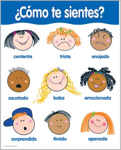 SPANISH FEELINGS Chart Poster Teacher Emotions Autism | eBay