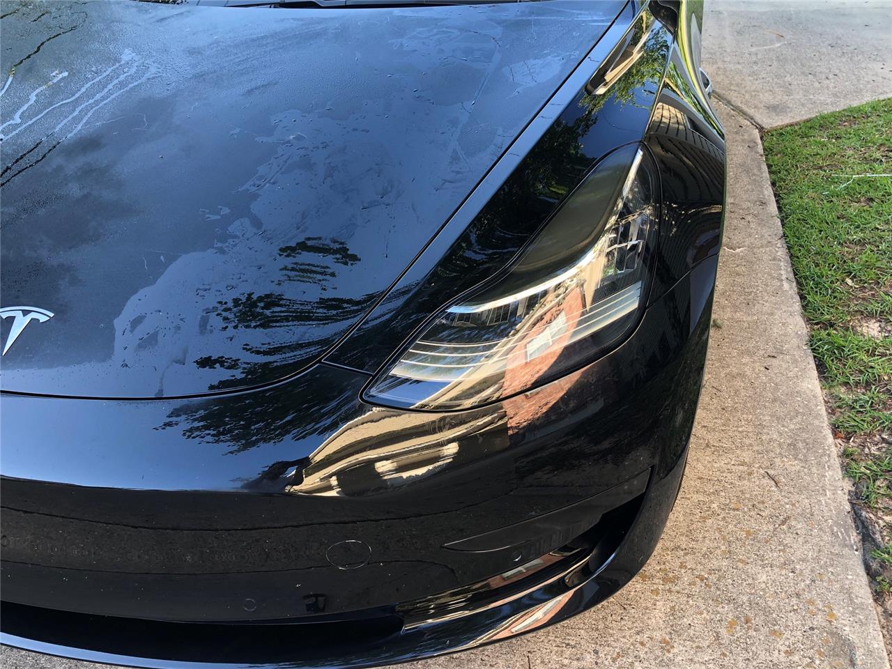 tesla eyelids